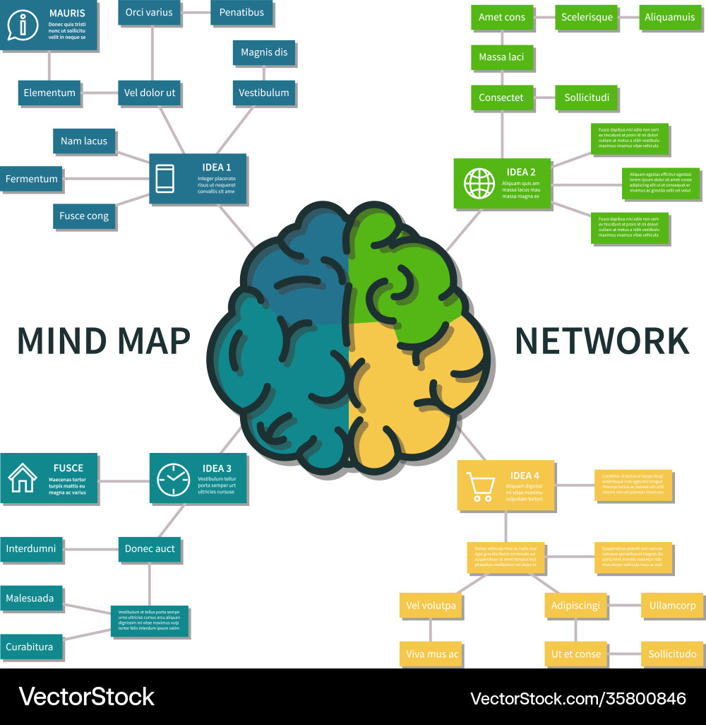 Mind map infographic abstract brain thinking Vector Image