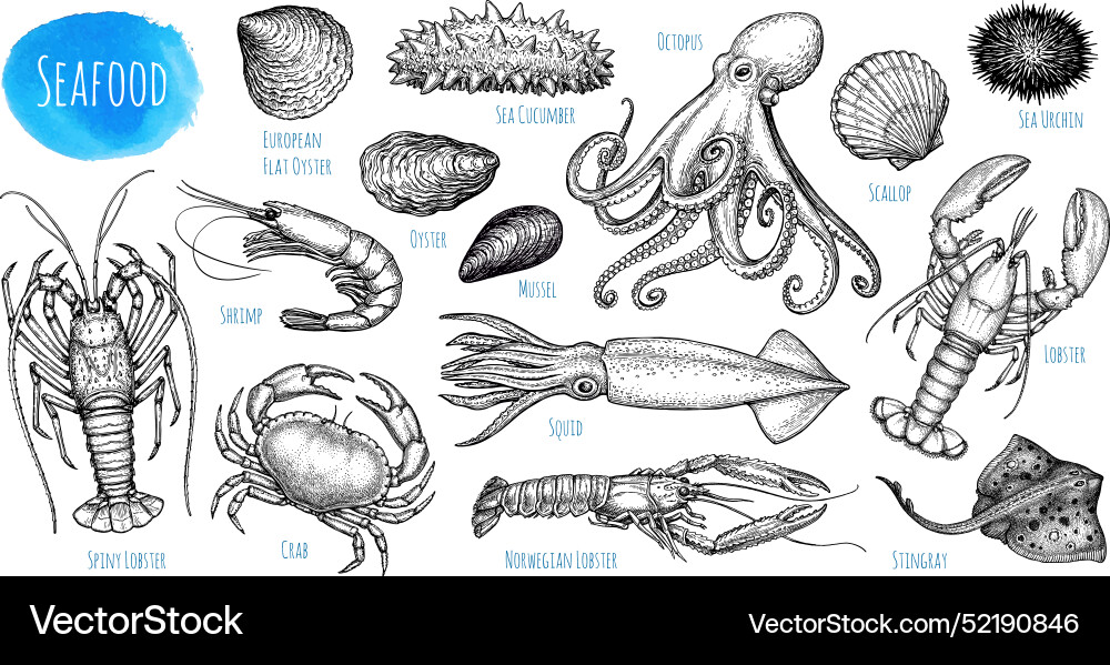 Seafood Sketch Set - Marine Food Royalty Free Vector Image