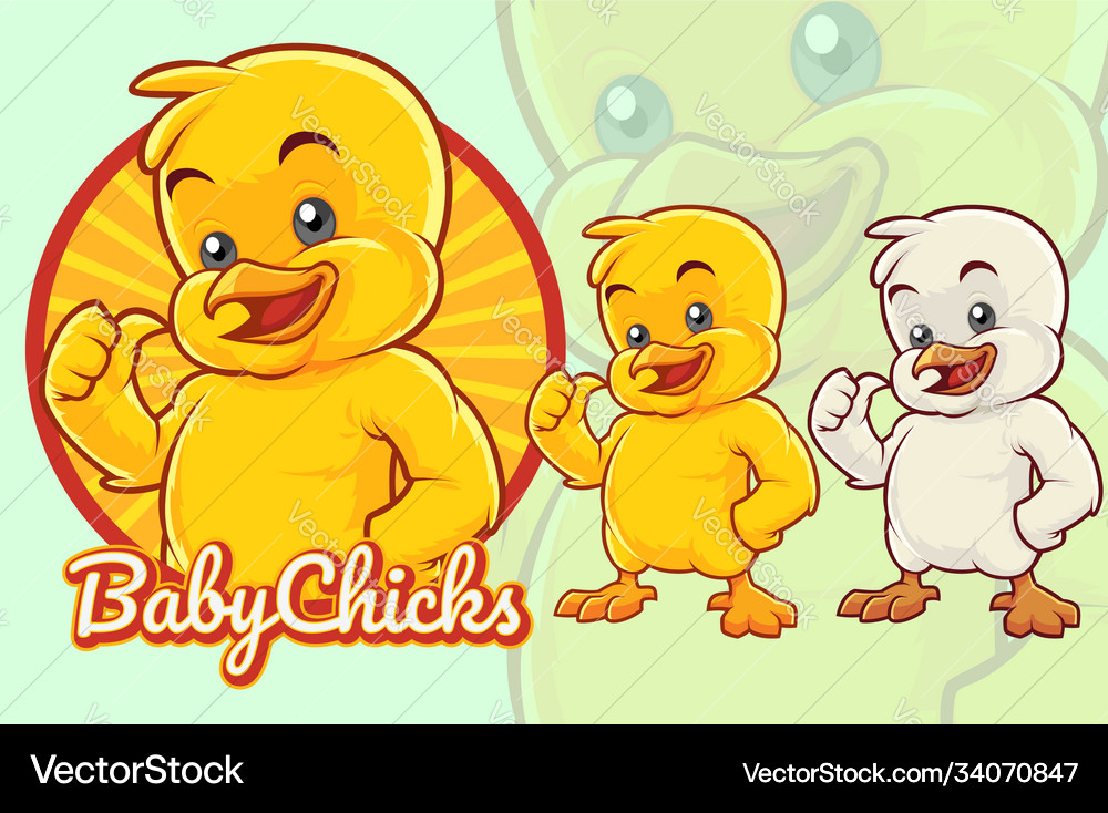 Chick cartoon Royalty Free Vector Image - VectorStock