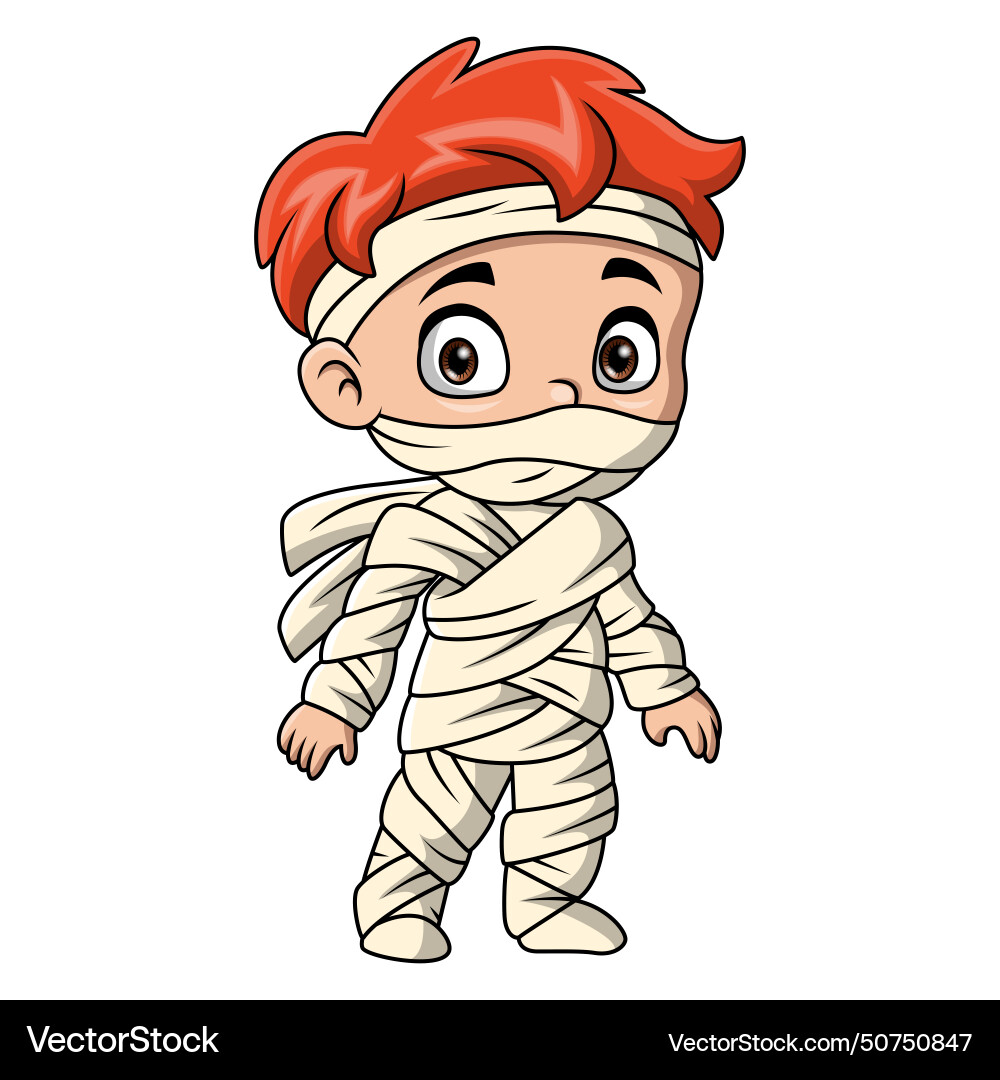 Cute mummy boy cartoon on white background Vector Image