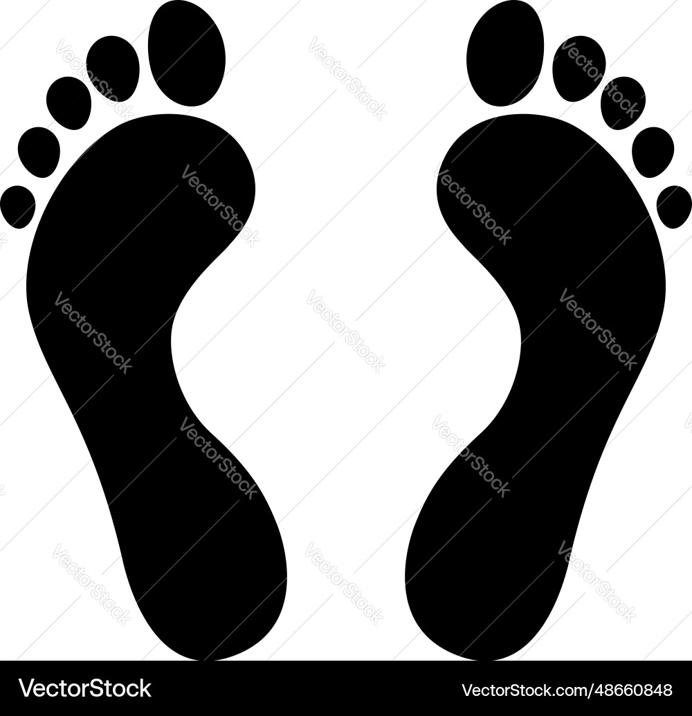 Classic barefoot footprints left and right Vector Image