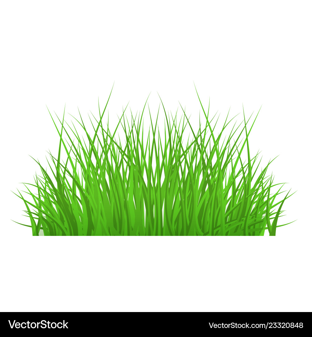 Green grass border for summer landscape Royalty Free Vector