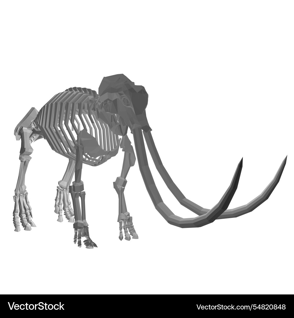 Polygonal mammoth skeleton on isolated white Vector Image