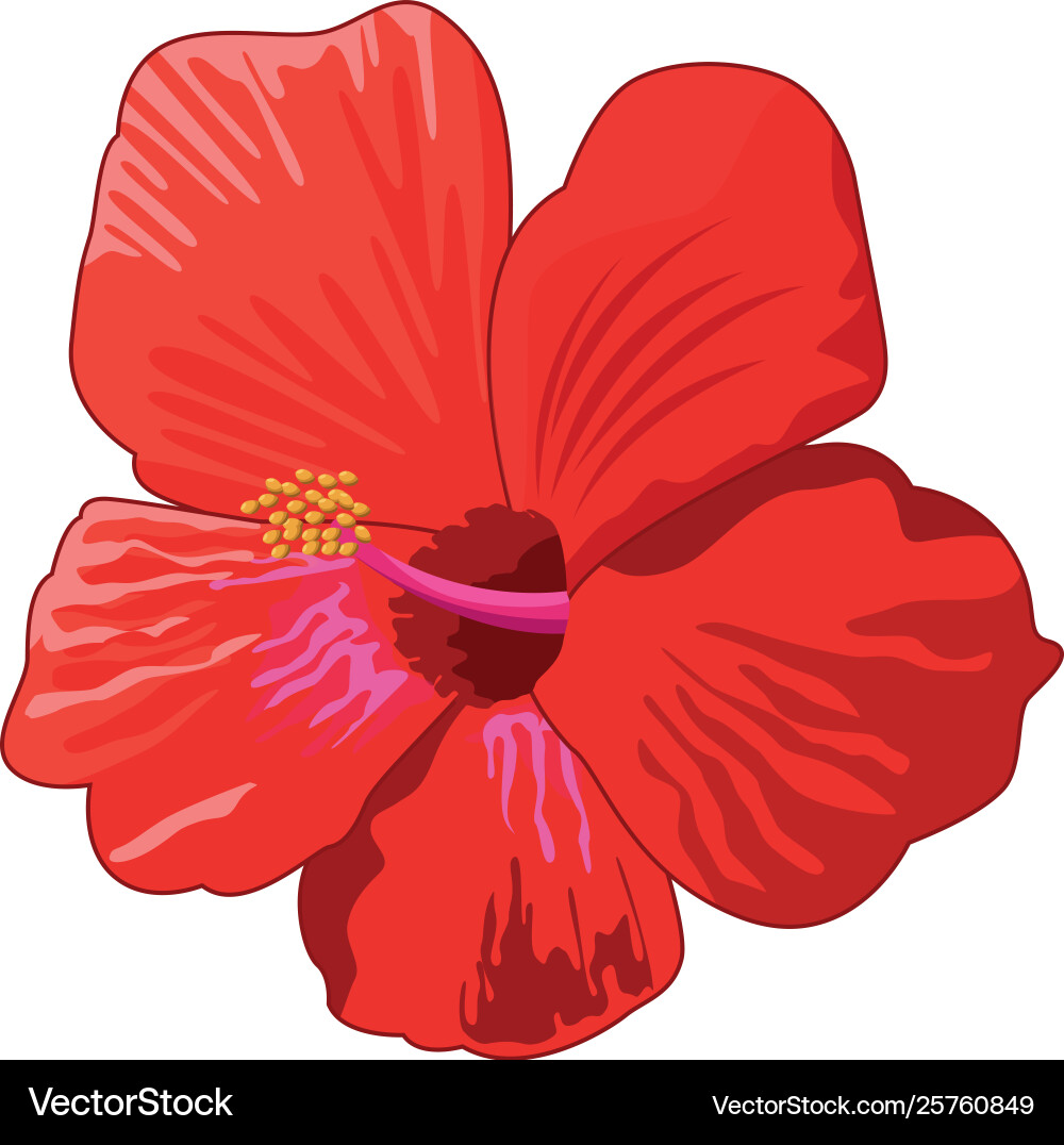 Beautiful flower nature cartoon Royalty Free Vector Image