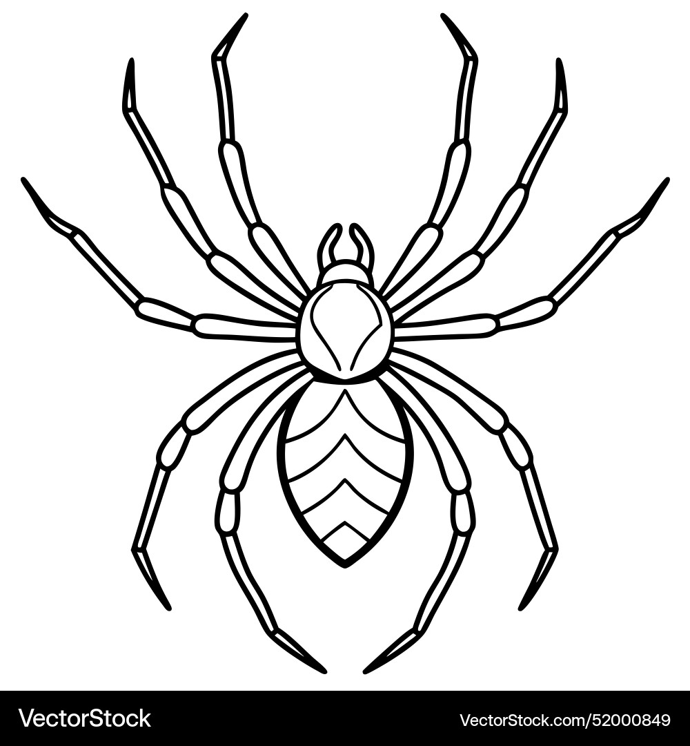 Clock spider swims icon Royalty Free Vector Image