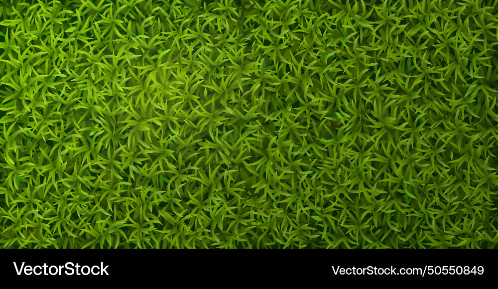Green grass realistic background Royalty Free Vector Image