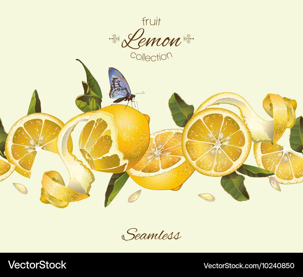 Lemon seamless border Royalty Free Vector Image