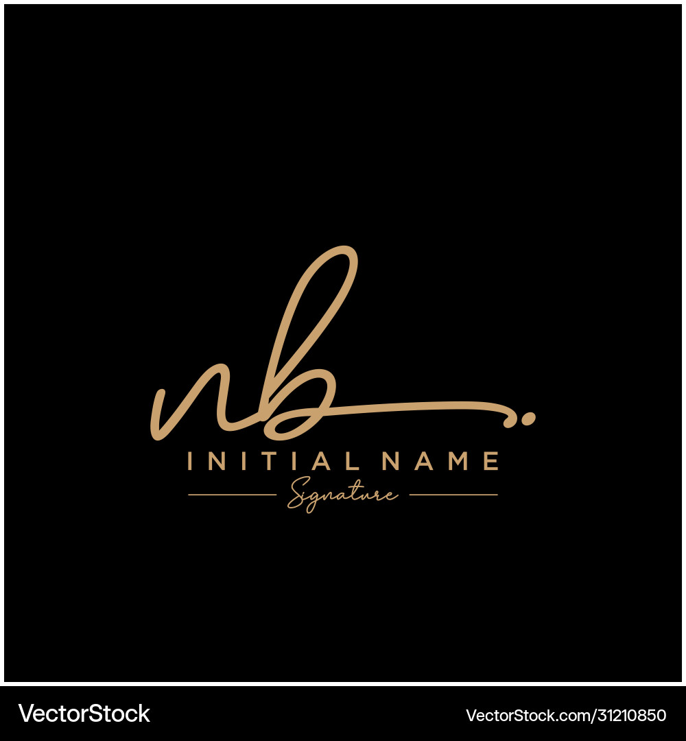 Letter nb signature logo template Royalty Free Vector Image