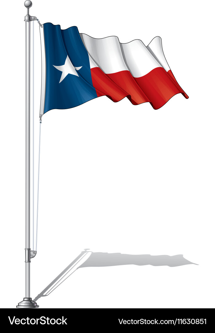 Texas Flag on Pole Vector Images (45)