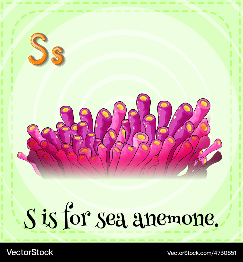 Sea anemone Royalty Free Vector Image - VectorStock