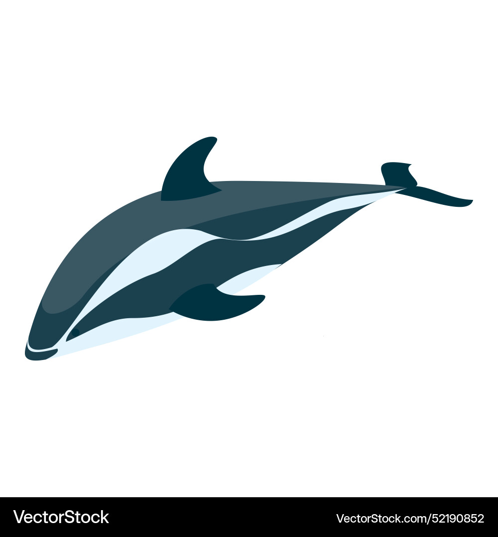 3d isometrische flache Reihe von Arten Delfine Vektorbild