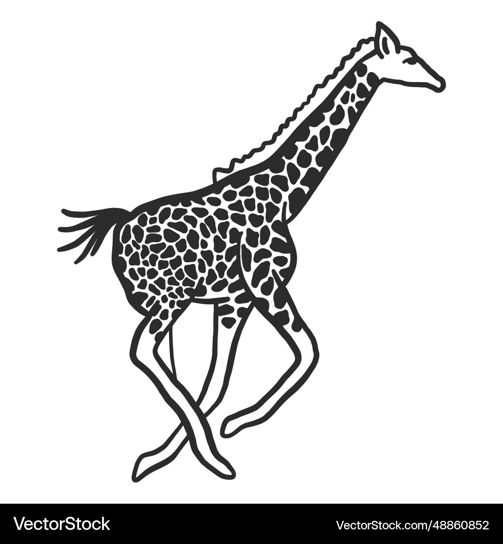 Giraffe Punkt Hals Ossicone Schwanz läuft Doodle Vektorbild