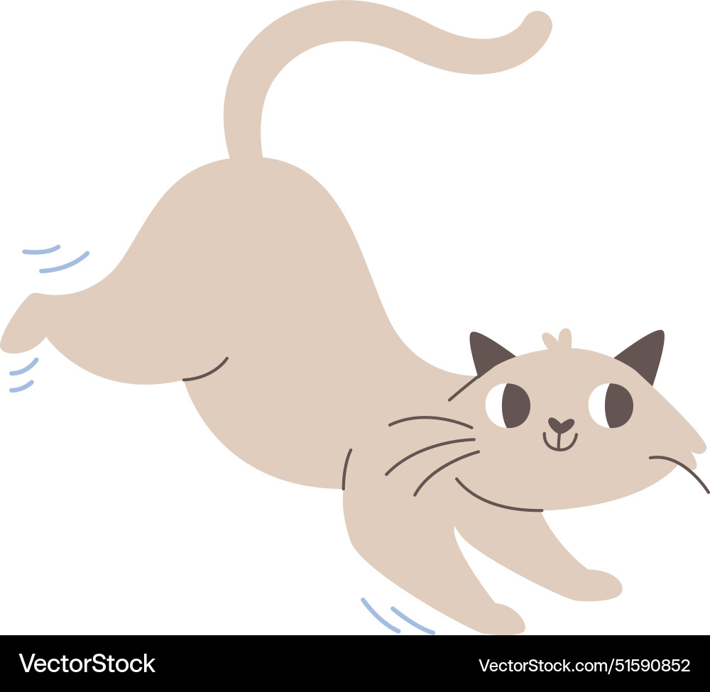 Jumping cat pet Royalty Free Vector Image - VectorStock