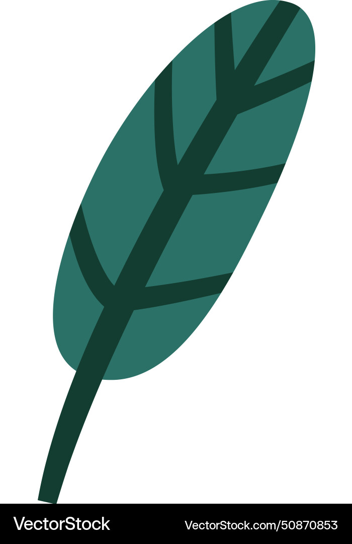 Tree leaf plant Royalty Free Vector Image - VectorStock