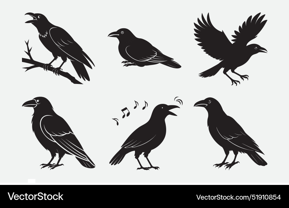 Print ultimate crow silhouette set Royalty Free Vector Image