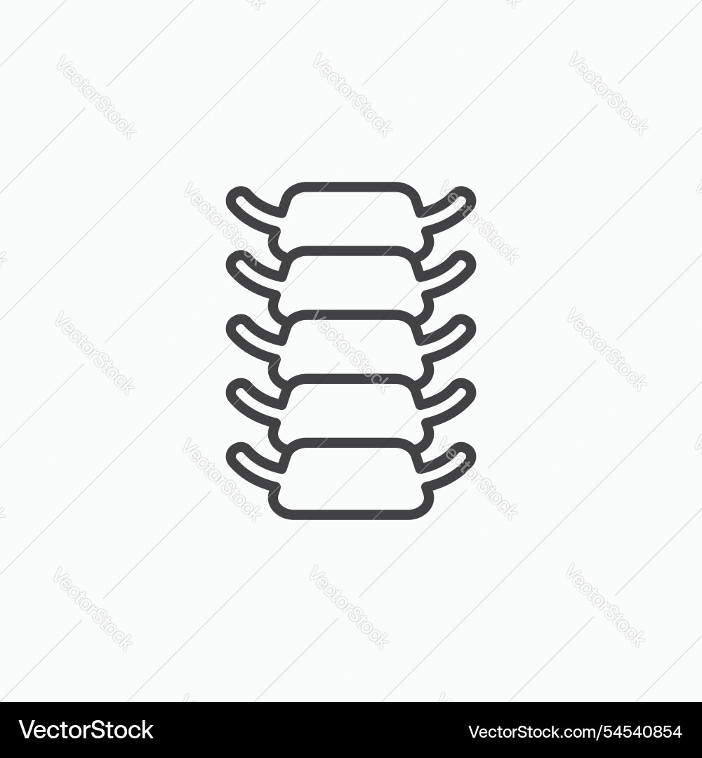 Spinal column icon Royalty Free Vector Image - VectorStock