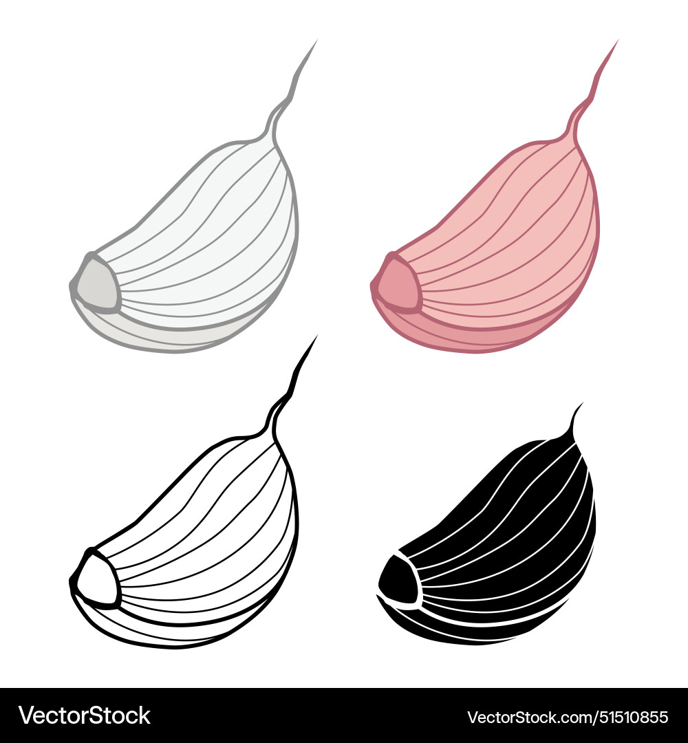 A set of garlic cloves Royalty Free Vector Image
