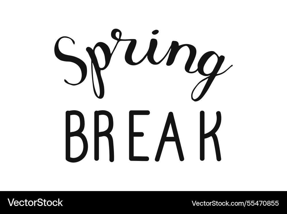 Hand drawn calligraphy spring break lettering Vector Image