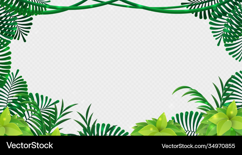 Tropical jungle frame with leaves isolated Vector Image