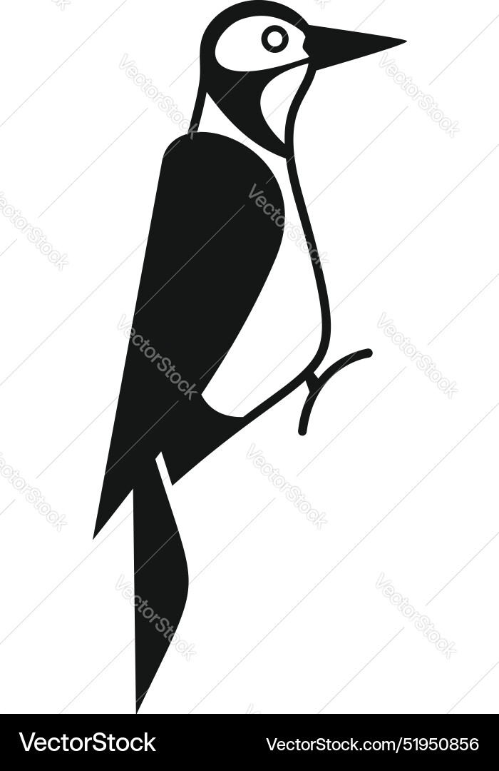 Black and white woodpecker bird perching Vector Image