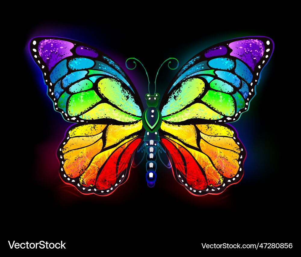 Luminous Rainbow Butterfly Royalty Free Vector Image