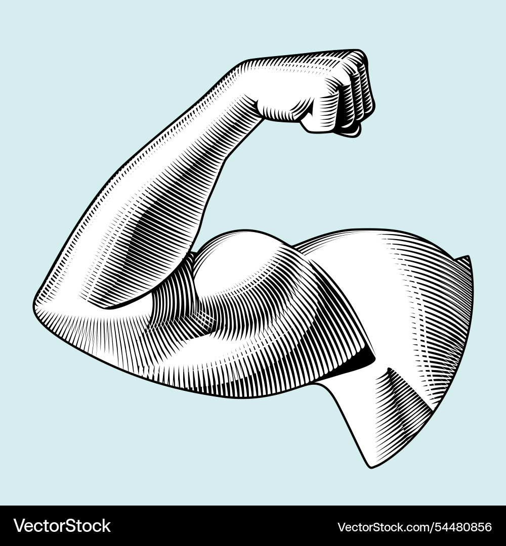 Vintage Muscular Arm Drawing Royalty Free Vector Image