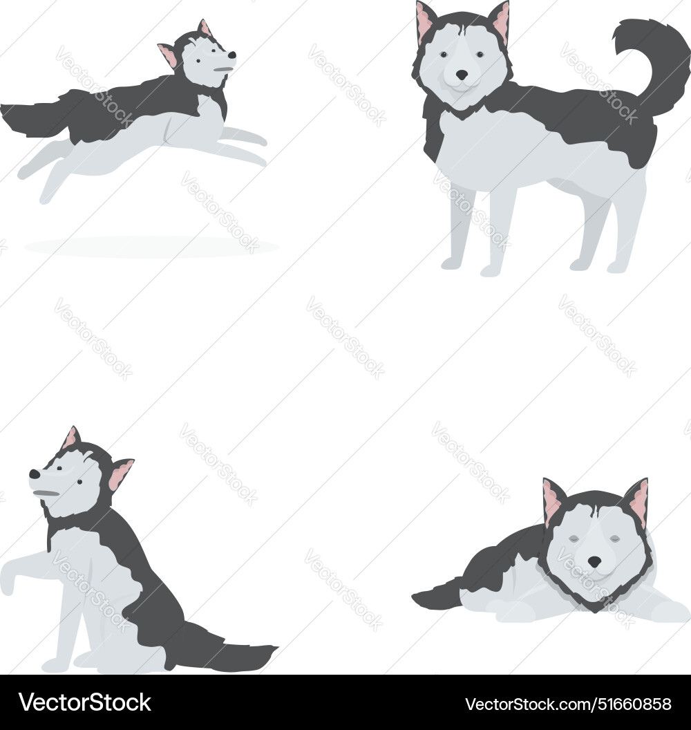 Playful siberian husky set Royalty Free Vector Image