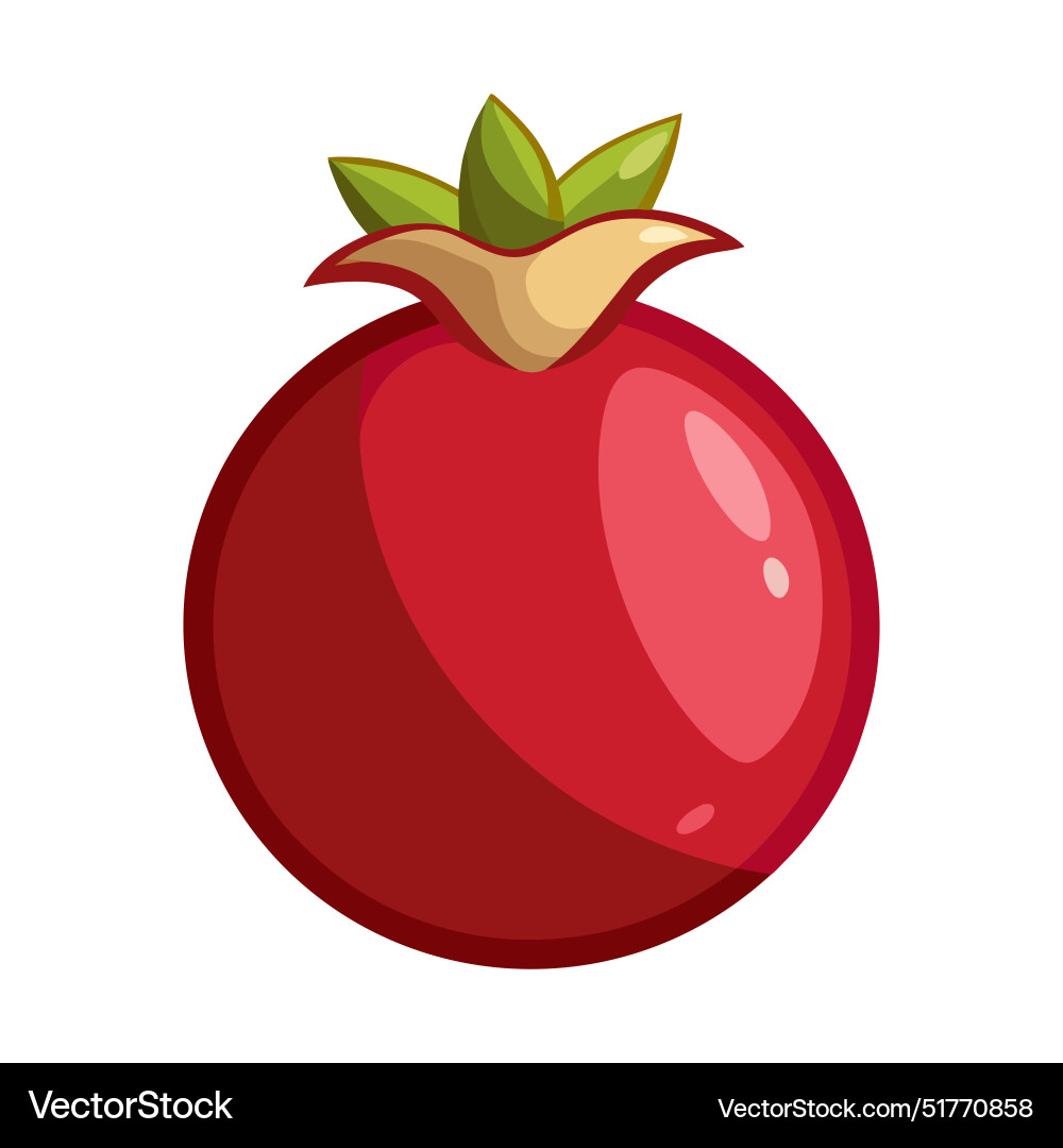 Pomegranate isolated flat Royalty Free Vector Image