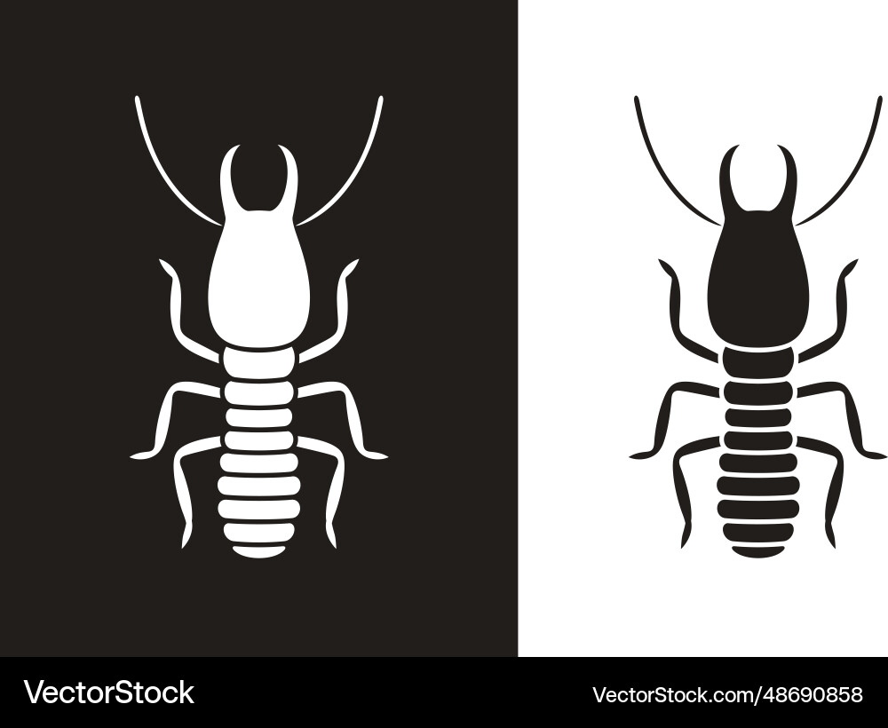Termite Royalty Free Vector Image - VectorStock