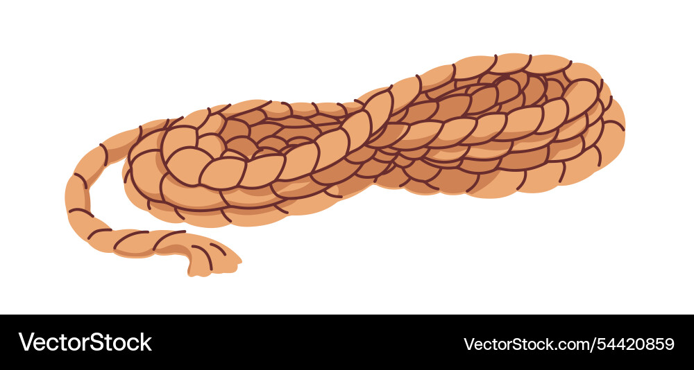 Coiled rope lasso strong braided cord from Vector Image