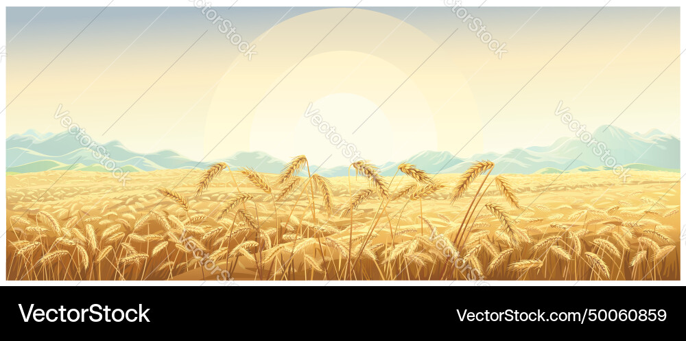 Rural landscape with wheat field mountains Vector Image