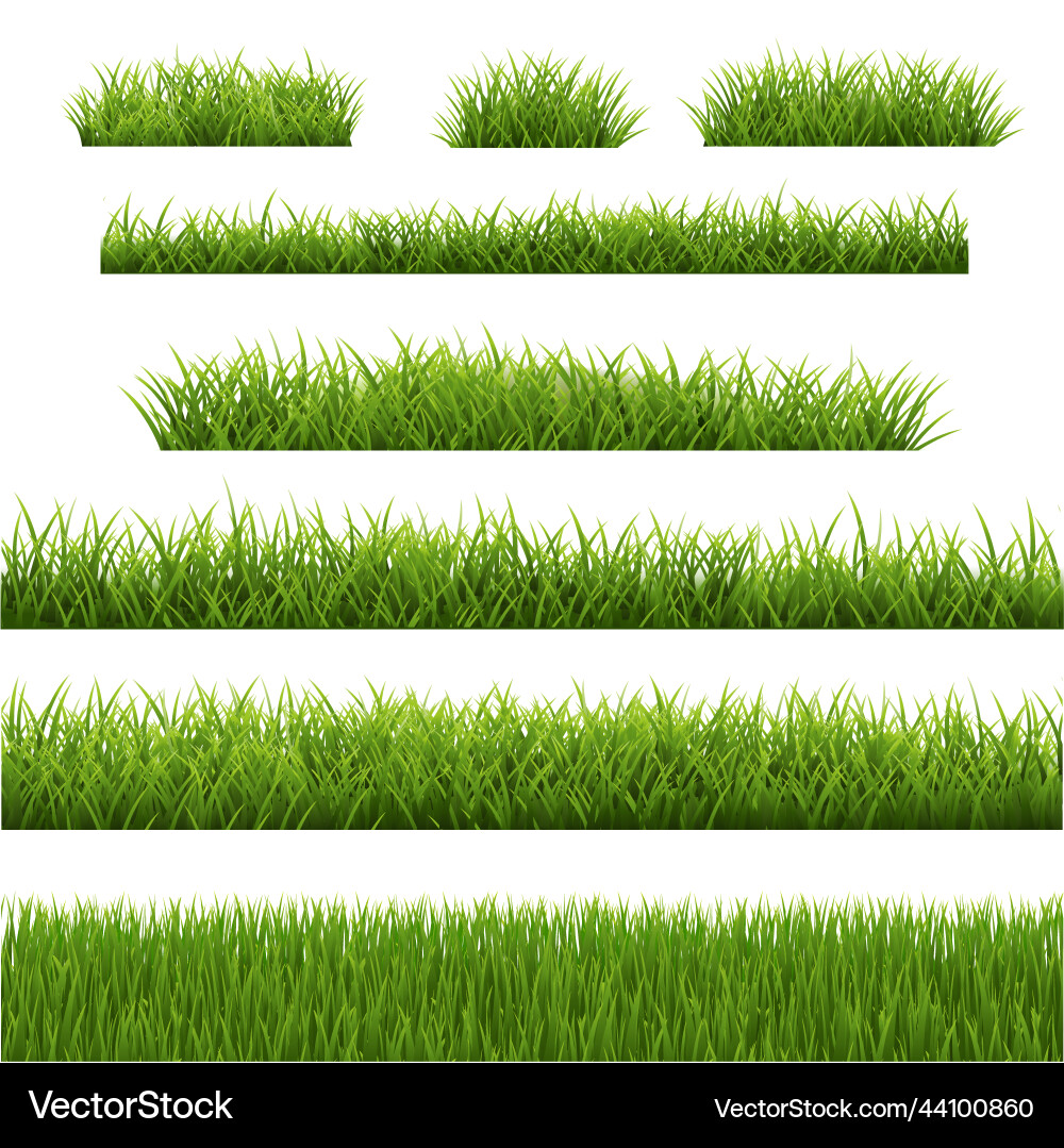 Grass border set and white background Royalty Free Vector