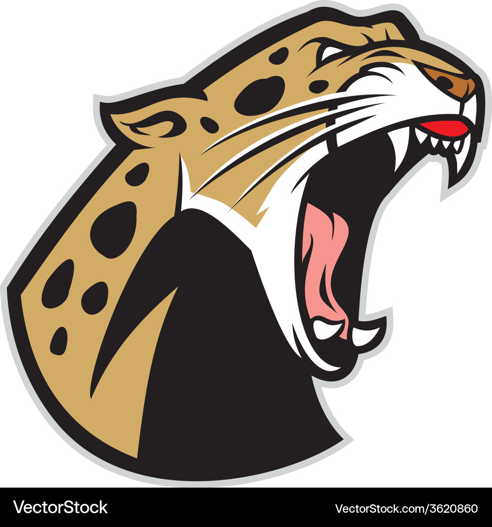 Roaring leopard Royalty Free Vector Image - VectorStock