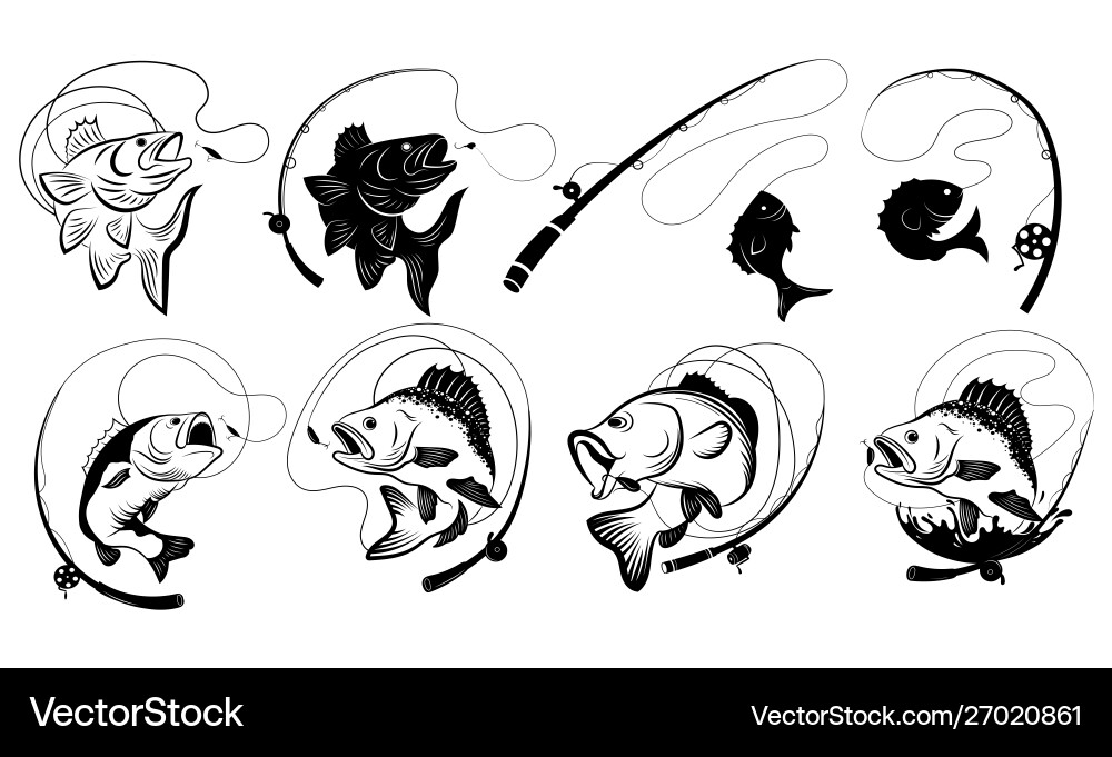 Set fishing collection fish Royalty Free Vector Image