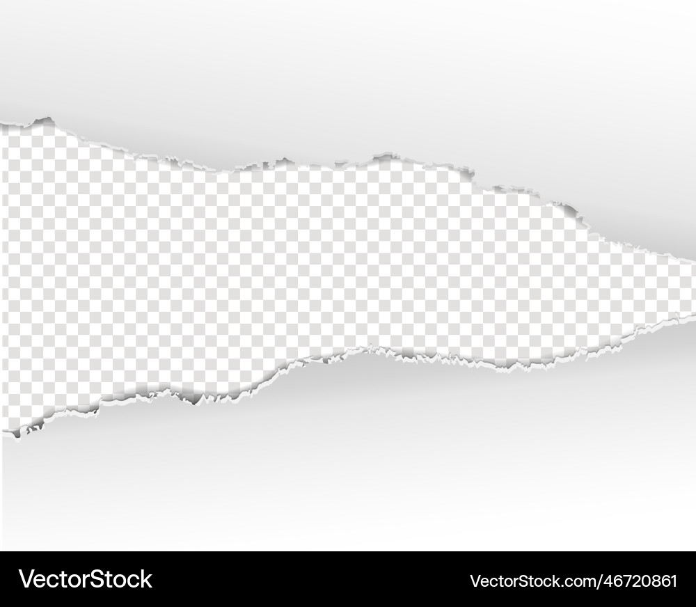 White ripped paper and transparent background Vector Image