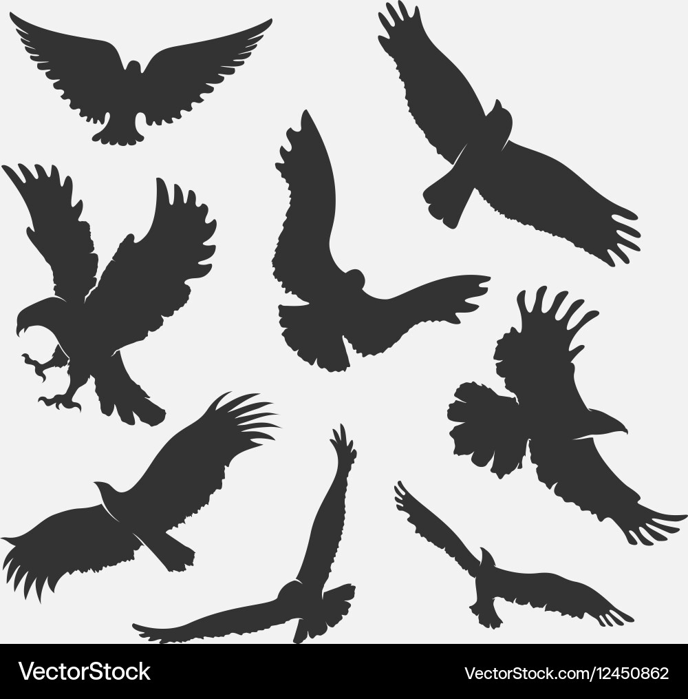 Flying Eagle Silhouette Royalty Free Vector Image