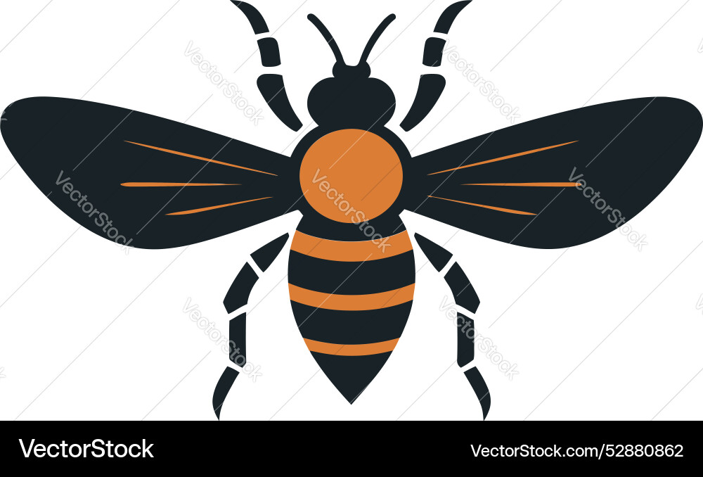 Shadow of the wasp tarantula hawk artistry Vector Image