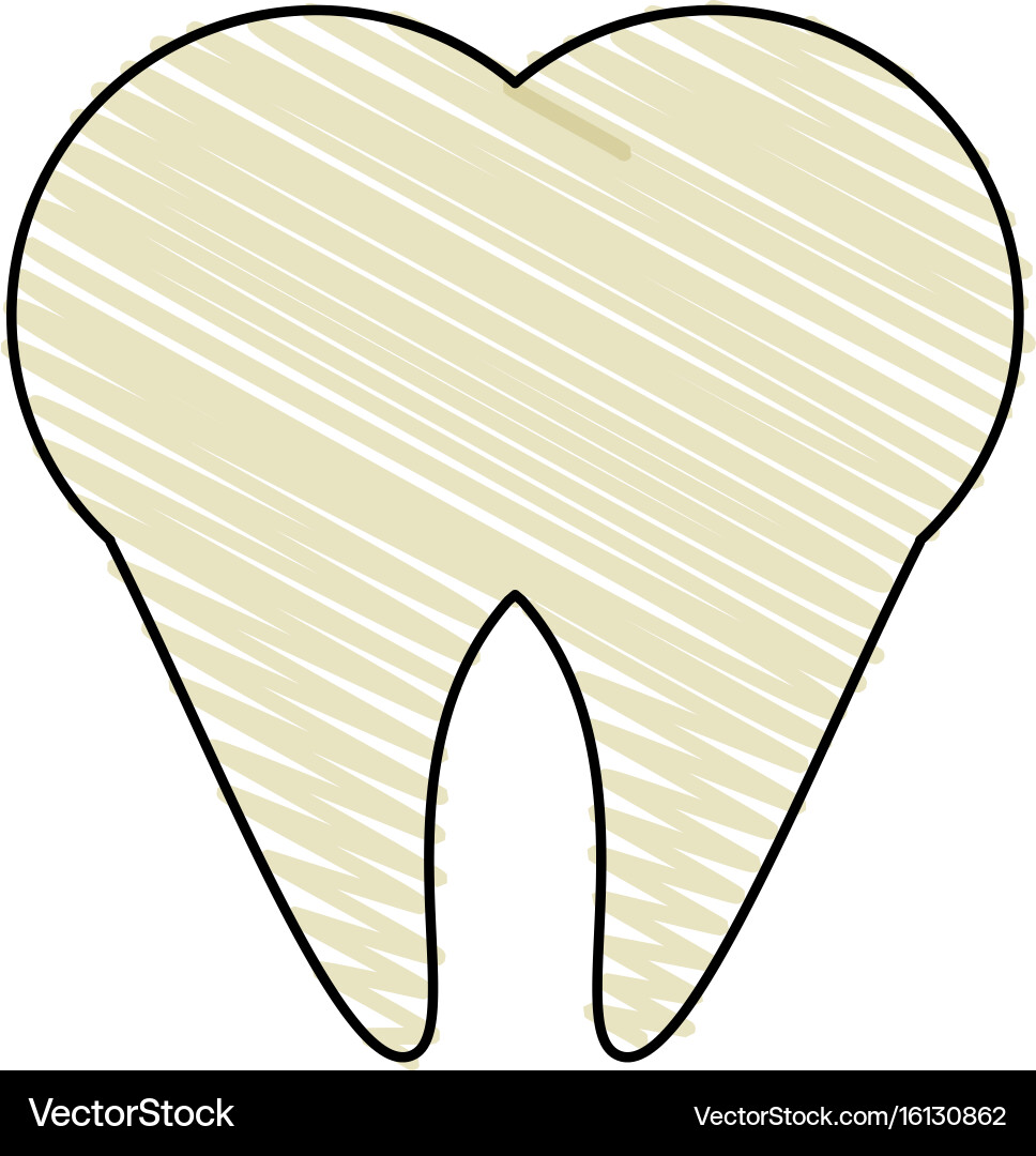 Tooth Royalty Free Vector Image - VectorStock