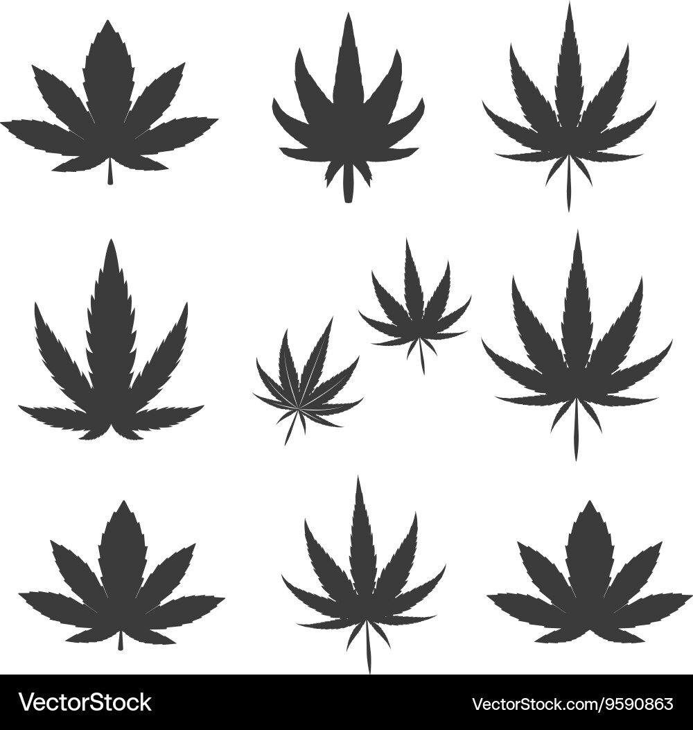 Cannabis Leaf Icon - Green Royalty Free Vector Image