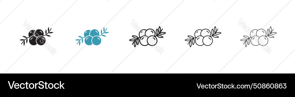 Juniper icon set berry gin blueberry symbol Vector Image
