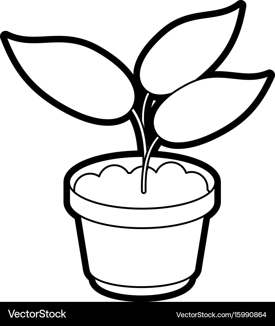 Plant Royalty Free Vector Image - VectorStock