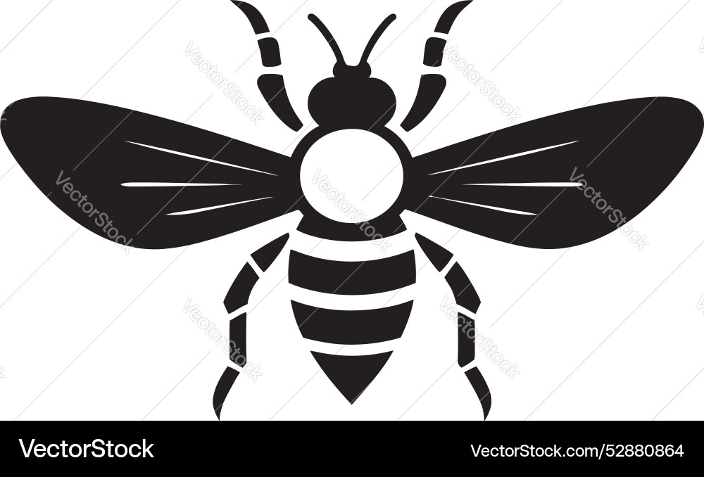 Tarantula hawk artistry insect kingdom Royalty Free Vector