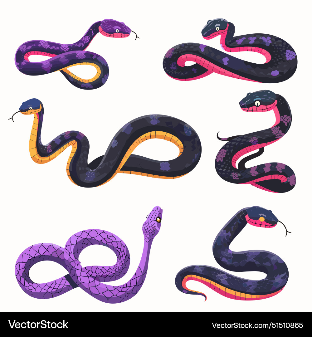 Collection colorful snakes various poses patterns Vector Image