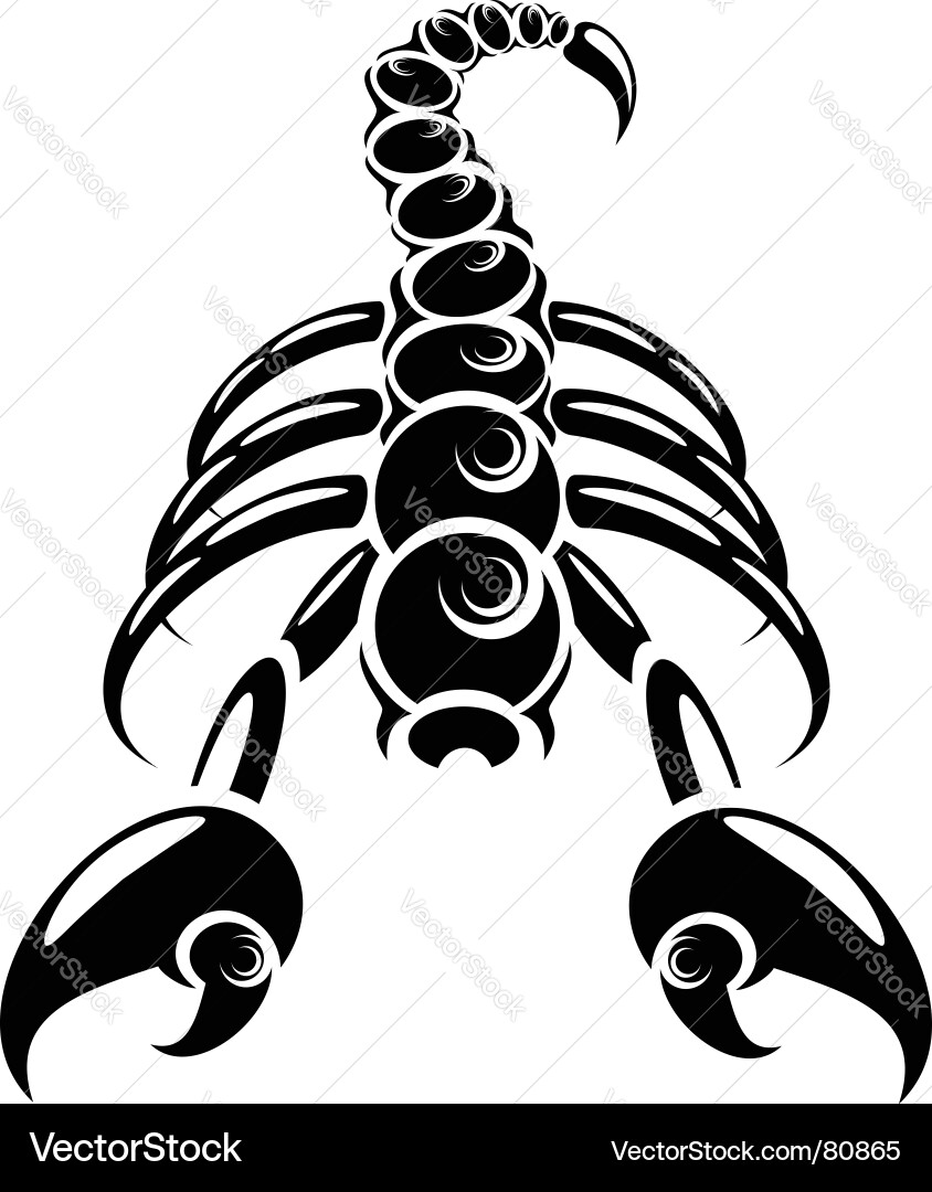 Scorpion Royalty Free Vector Image - VectorStock