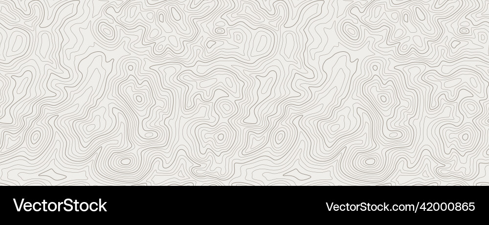 Topographic map patterns topography line Vector Image