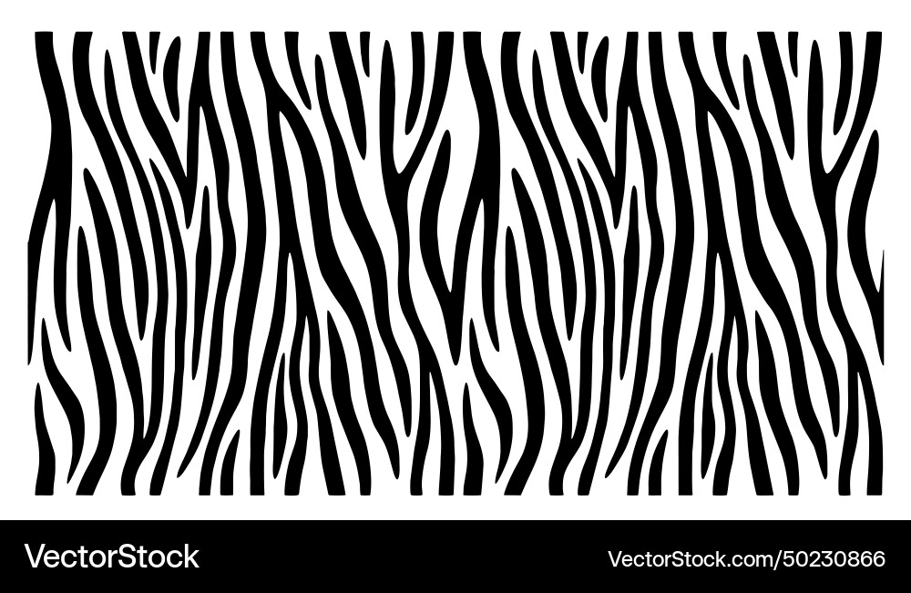 Zebra Stripes Pattern Royalty Free Vector Image