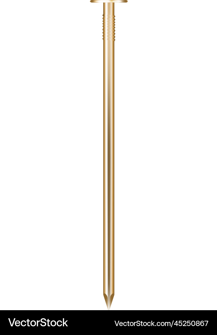 Nail realistic Royalty Free Vector Image - VectorStock