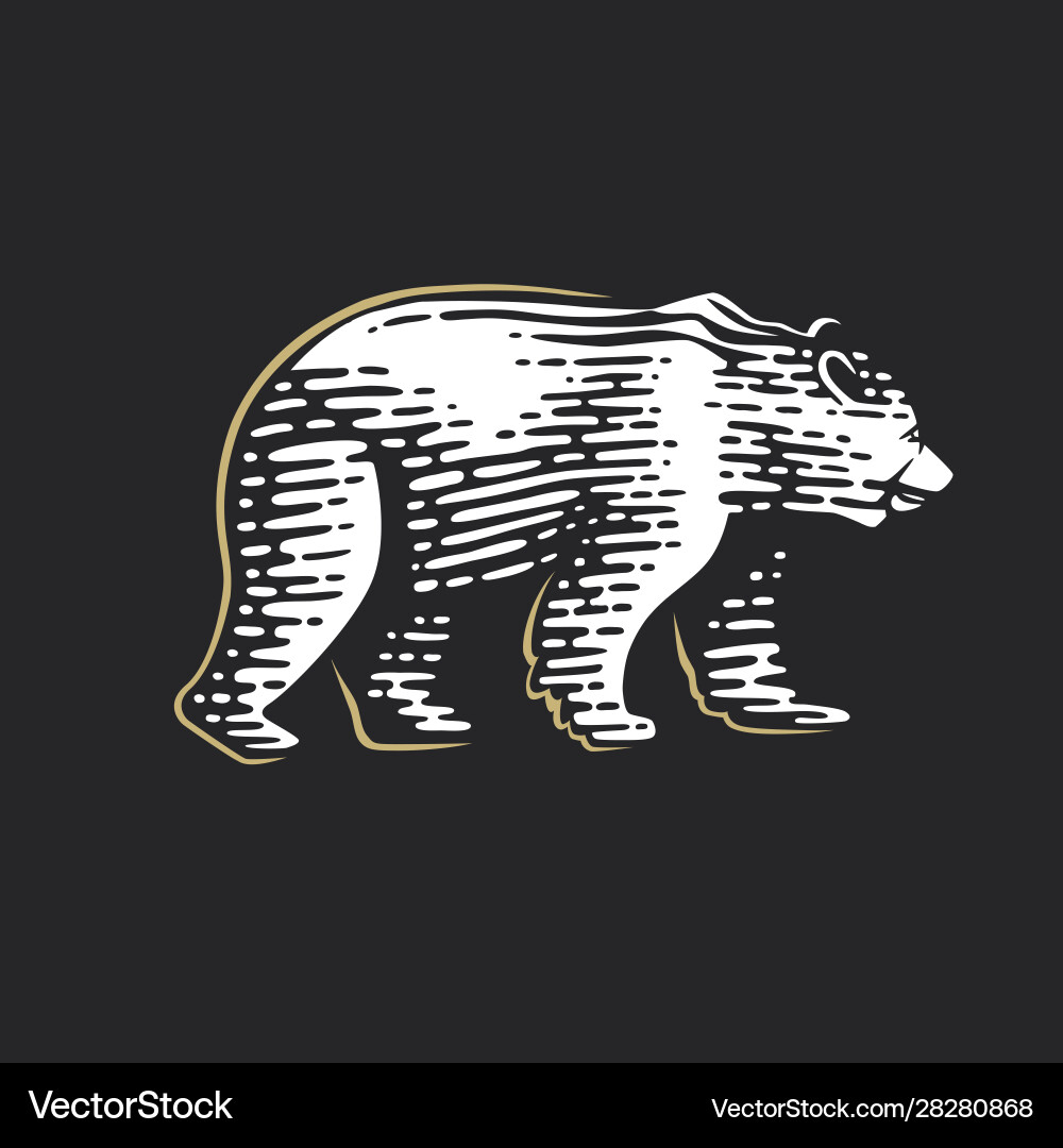 Bear Royalty Free Vector Image - VectorStock