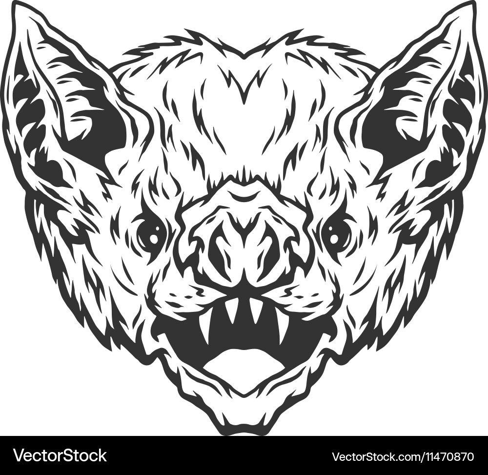 Vampire Bat Head Vampire Bat Head Animal Vector TofuJoe