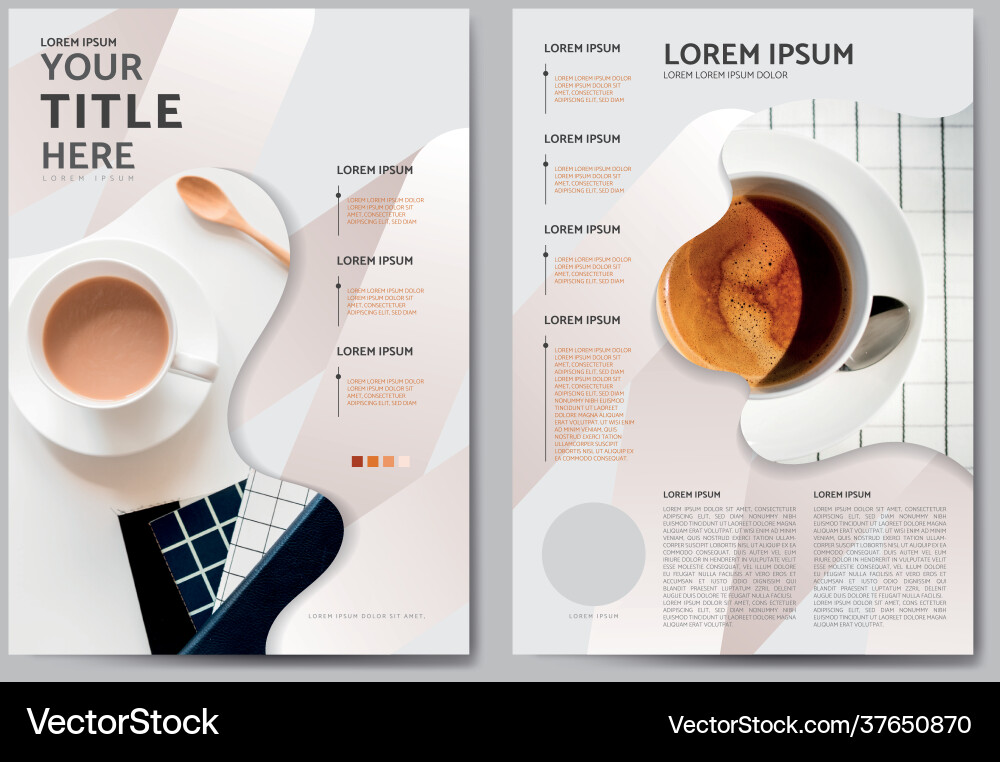 Magazine layout template Royalty Free Vector Image